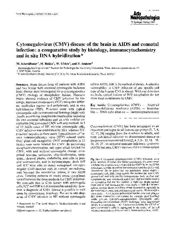 (PDF) Cytomegalovirus (CMV) disease of the brain in AIDS and connatal ...