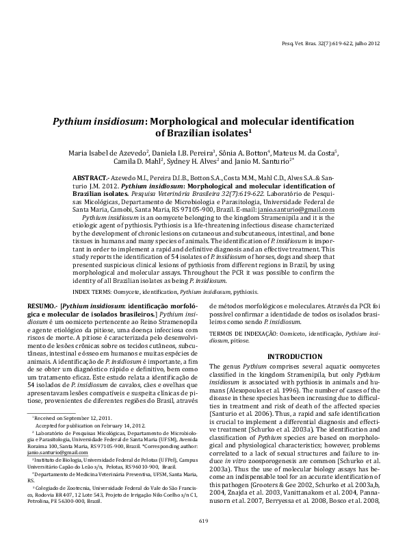 (PDF) Pythium insidiosum: morphological and molecular identification of ...