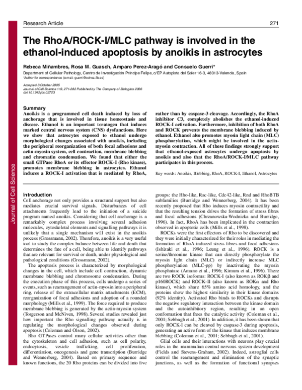 (PDF) The RhoA/ROCK-I/MLC pathway is involved in the ethanol-induced ...