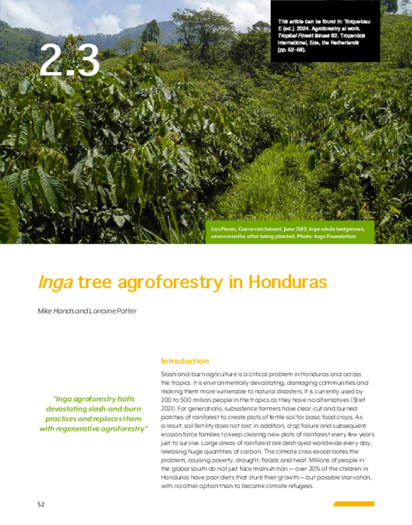 (PDF) Inga tree agroforestry in Honduras