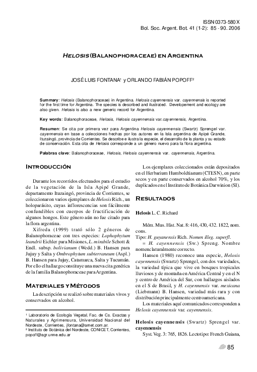 (PDF) Helosis (Balanophoraceae) en Argentina | José Luis Fontana ...