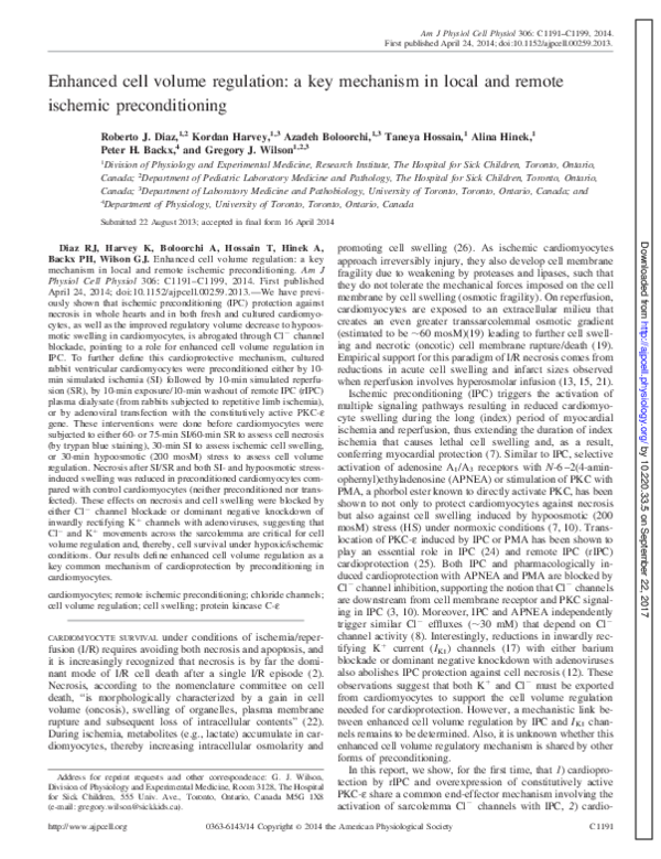 (PDF) Enhanced cell volume regulation: a key mechanism in local and ...