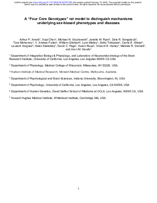 (PDF) A “Four Core Genotypes” rat model to distinguish mechanisms ...