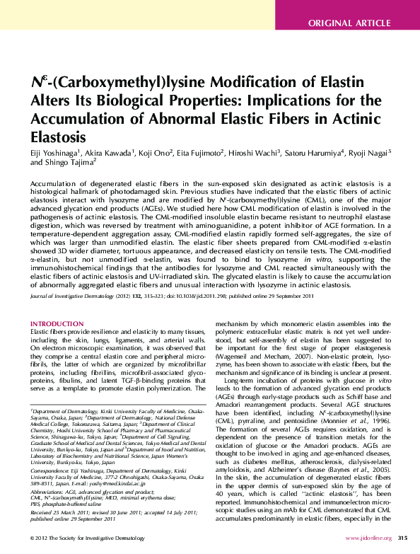 (PDF) Nε-(Carboxymethyl)lysine Modification of Elastin Alters Its Biological Properties ...