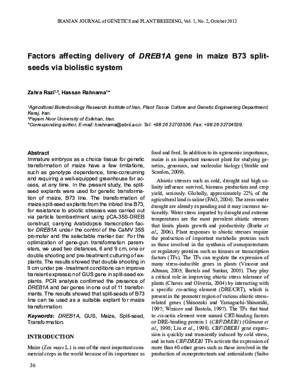 (PDF) Factors affecting delivery of DREB1A gene in maize B73 split ...