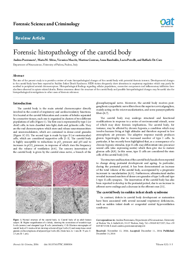 (PDF) Forensic histopathology of the carotid body