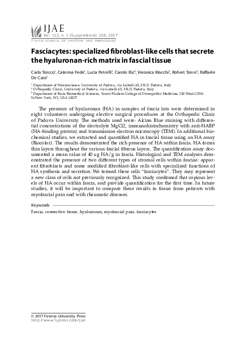 (PDF) Fasciacytes: specialized fibroblast-like cells that secrete the ...