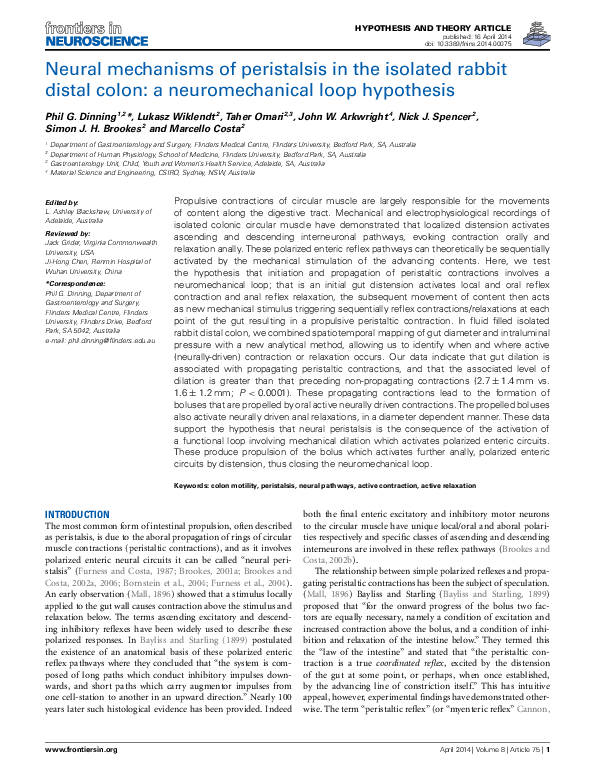 (PDF) Neural mechanisms of peristalsis in the isolated rabbit distal ...