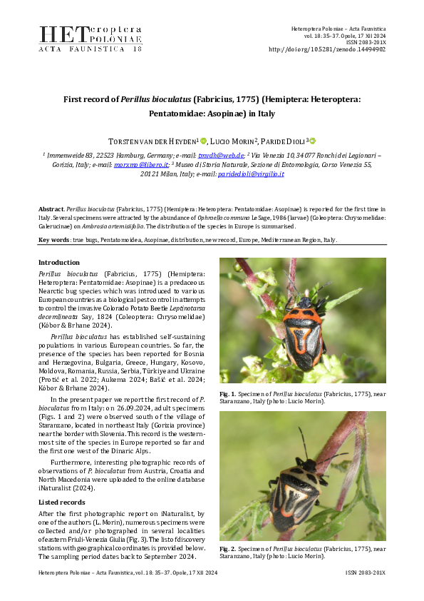 (PDF) First record of Perillus bioculatus (Fabricius, 1775) (Hemiptera ...
