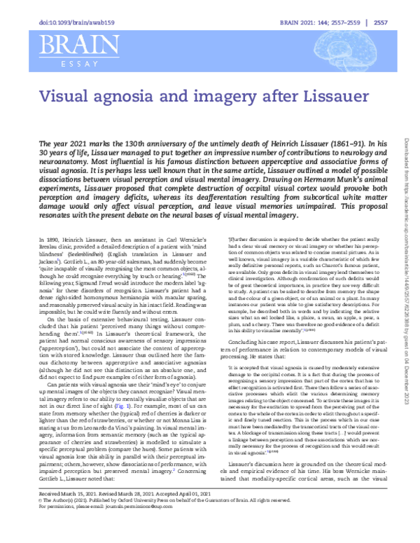 (PDF) Visual agnosia and imagery after Lissauer