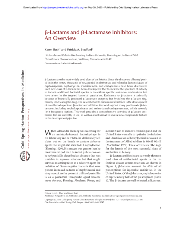(PDF) β-Lactams and β-Lactamase Inhibitors: An Overview