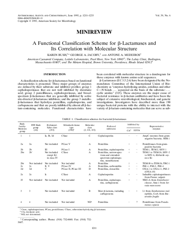 (PDF) A functional classification scheme for beta-lactamases and its ...