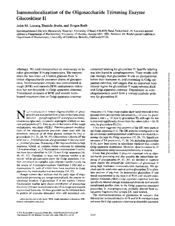 (PDF) Immunolocalization of the oligosaccharide trimming enzyme ...