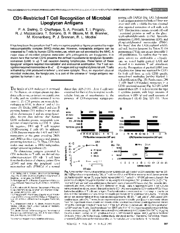 (PDF) CD1-Restricted T Cell Recognition of Microbial Lipoglycan Antigens