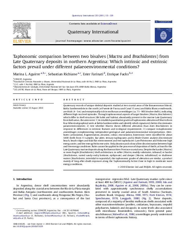 (PDF) Taphonomic comparison between two bivalves (Mactra and ...