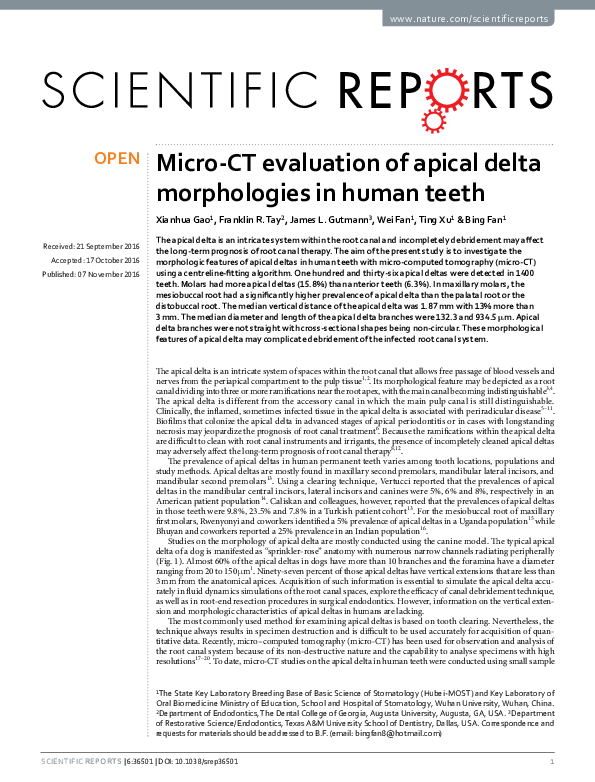 (PDF) Micro-CT evaluation of apical delta morphologies in human teeth ...