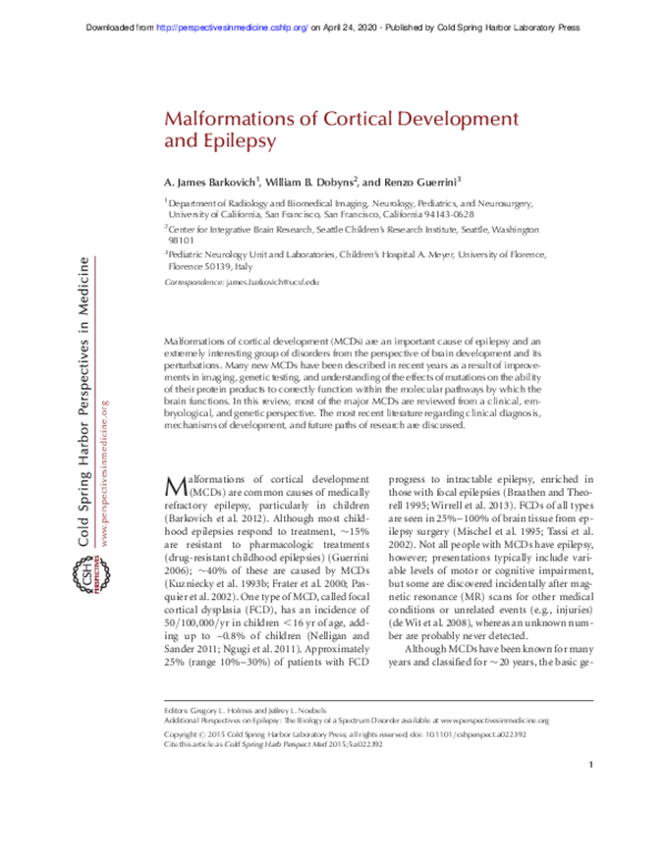 (PDF) Malformations of cortical development and epilepsy