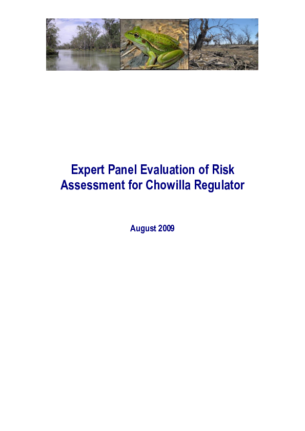 (PDF) Expert Panel Evaluation of Risk Assessment for Chowilla Regulator