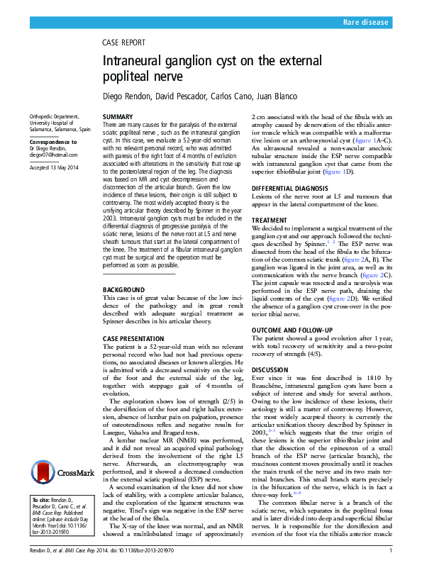 (PDF) Intraneural ganglion cyst on the external popliteal nerve