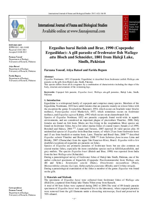 (PDF) Ergasilus barai Batish and Brar, 1990 (Copepoda: Ergasilidae): A ...