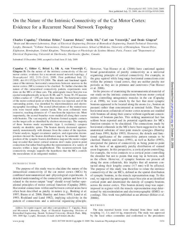 (PDF) On the Nature of the Intrinsic Connectivity of the Cat Motor ...
