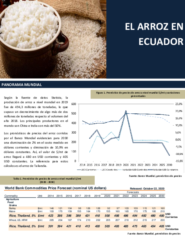 (PDF) El arroz en Ecuador