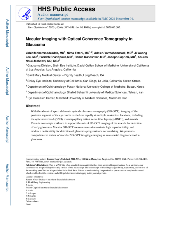 (PDF) Macular imaging with optical coherence tomography in glaucoma