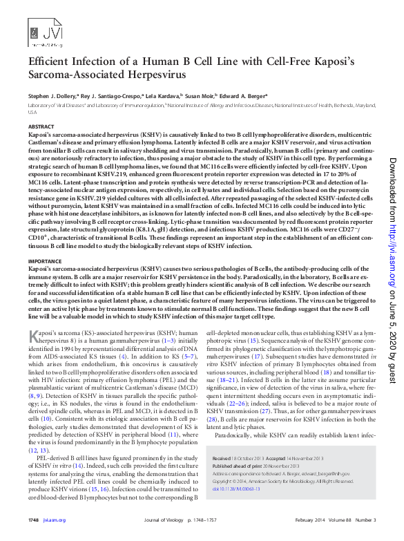 (PDF) Efficient Infection of a Human B Cell Line with Cell-Free Kaposi's Sarcoma-Associated ...