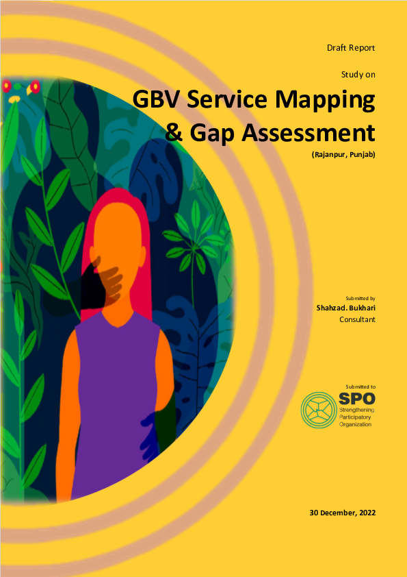 (PDF) GBV Mapping, Rajanpur