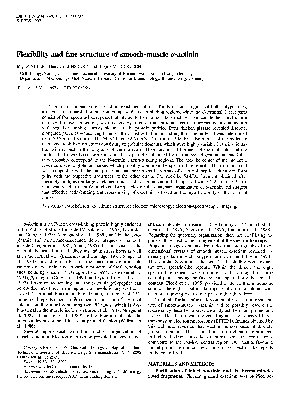 (PDF) Flexibility and Fine Structure of Smooth-Muscle alpha-Actinin