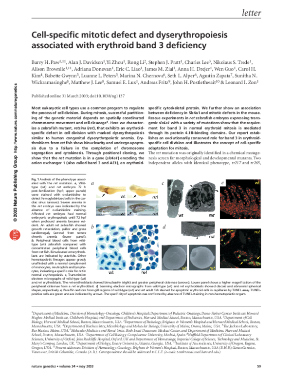 (PDF) Cell-specific mitotic defect and dyserythropoiesis associated ...