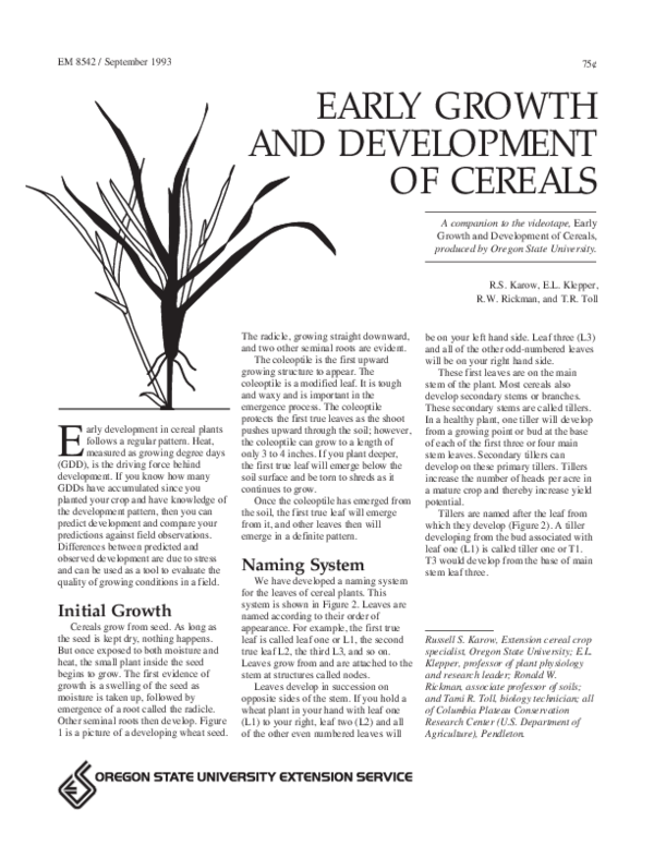 (PDF) Early Growth and Development of Cereals