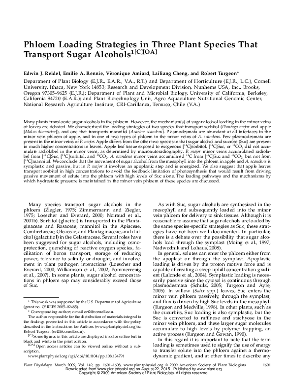 (PDF) Phloem Loading Strategies in Three Plant Species That Transport ...