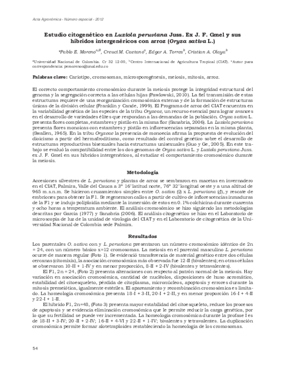 (PDF) Estudio citogenético en Luziola peruviana Juss. Ex J. F. Gmel y ...