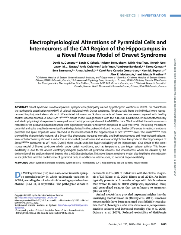 (PDF) Electrophysiological Alterations of Pyramidal Cells and Interneurons of the CA1 Region of ...