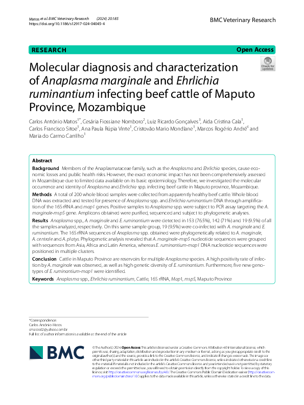 (PDF) Molecular diagnosis and characterization of Anaplasma marginale ...
