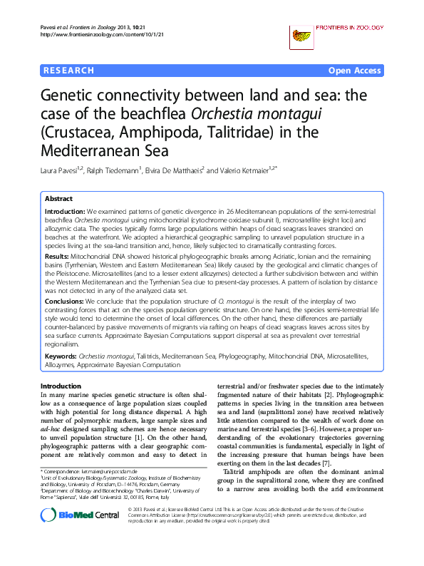 (PDF) Genetic connectivity between land and sea: the case of the ...