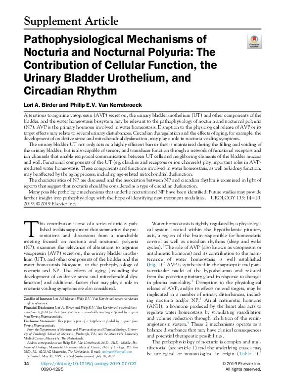 (PDF) Pathophysiological Mechanisms of Nocturia and Nocturnal Polyuria ...
