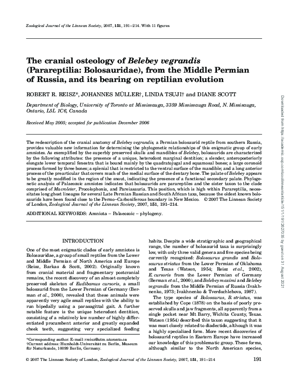 (PDF) The cranial osteology of Belebey vegrandis (Parareptilia ...