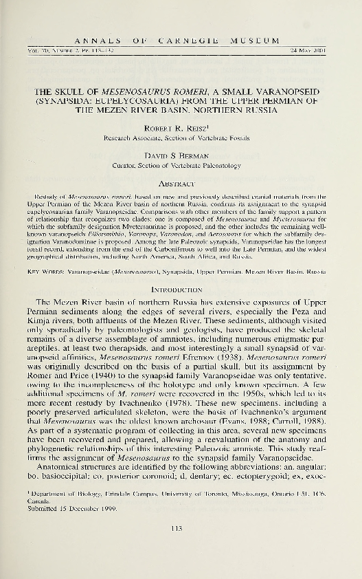 (PDF) The skull of Mesenosaurus romeri, a small varanopseid (Synapsida ...