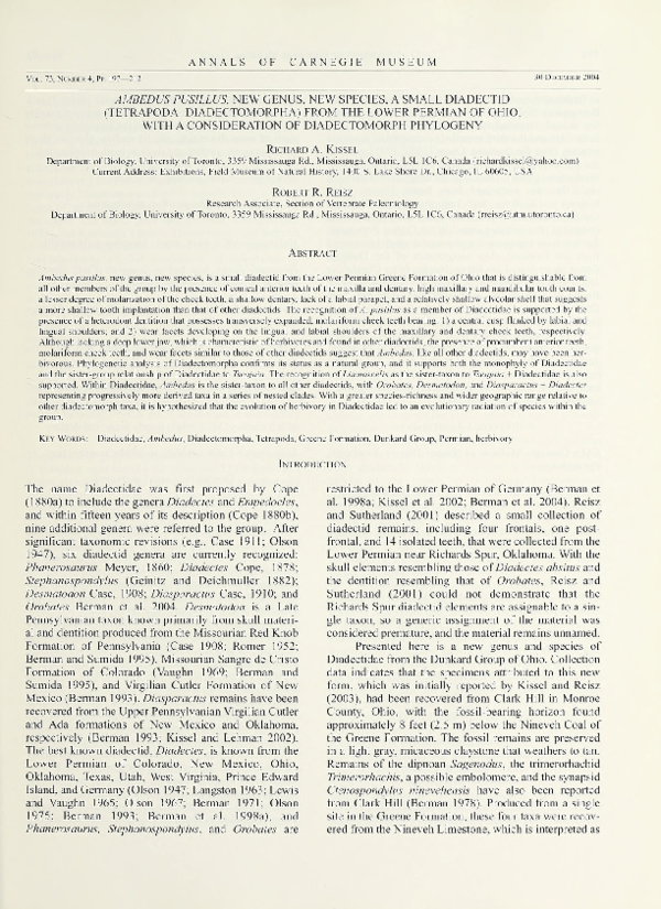 (PDF) Ambedus pusillus, new genus, new species, a small diadectid ...