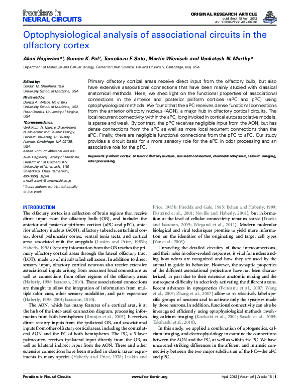 (PDF) Optophysiological analysis of associational circuits in the olfactory cortex