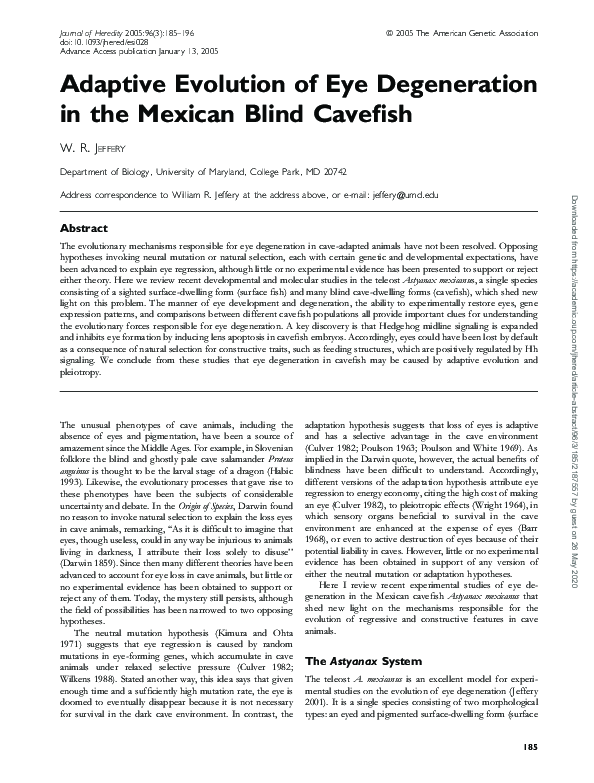 (PDF) Adaptive Evolution of Eye Degeneration in the Mexican Blind Cavefish