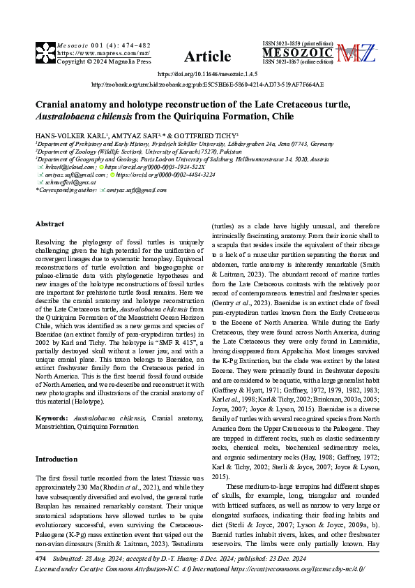 (PDF) Cranial anatomy and holotype reconstruction of the Late ...