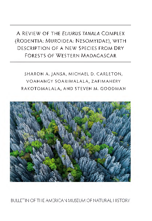 (PDF) A Review of the Eliurus tanala Complex (Rodentia: Muroidea ...