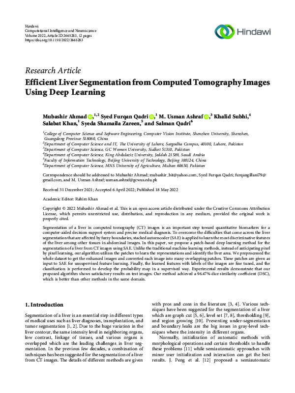 (PDF) Efficient Liver Segmentation from Computed Tomography Images ...