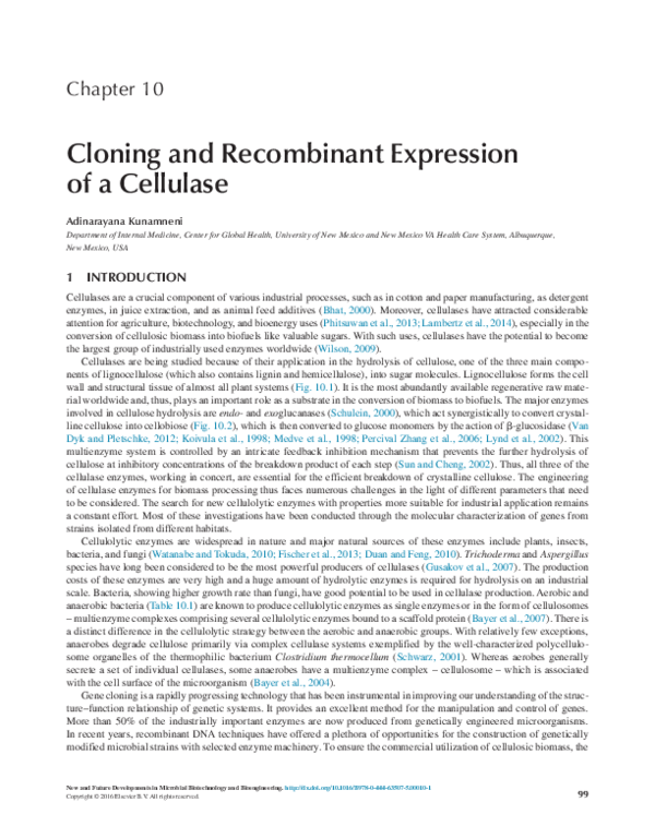 (PDF) New and Future Developments in Microbial Biotechnology and ...