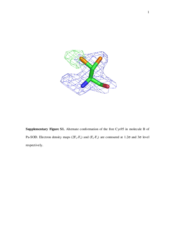 (PDF) Structure of a superoxide dismutase and implications for copper ...