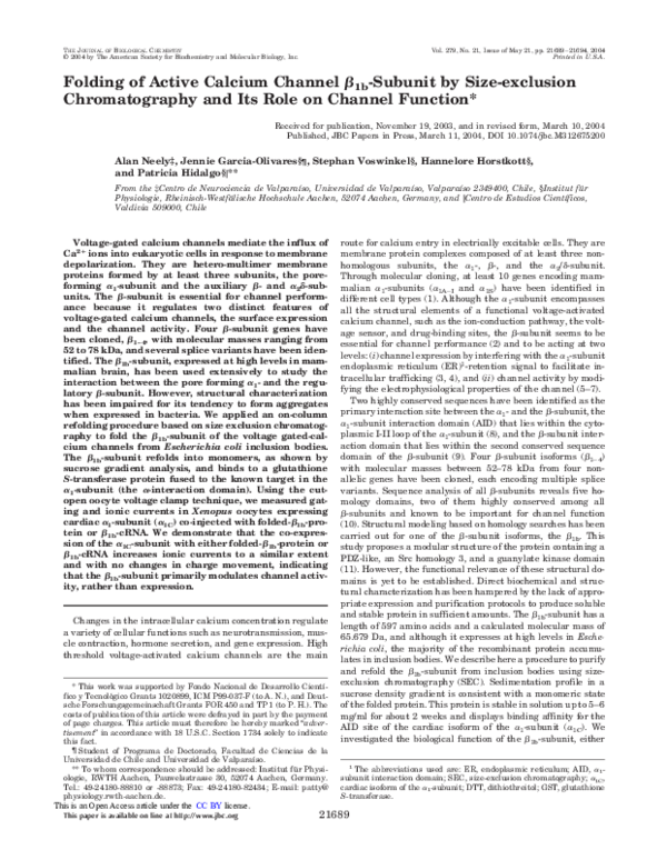 (PDF) Folding of Active Calcium Channel β1b -Subunit by Size-exclusion ...