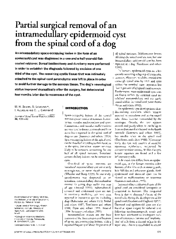 (PDF) Partial surgical removal of an intramedullary epidermoid cyst ...